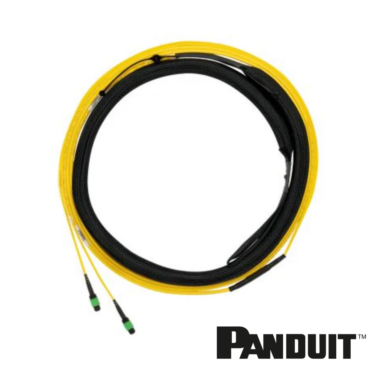 PANDUIT HD Flex™ PanMPO OS2 24-Fibre Small Diameter Fibre Trunk Cables ...