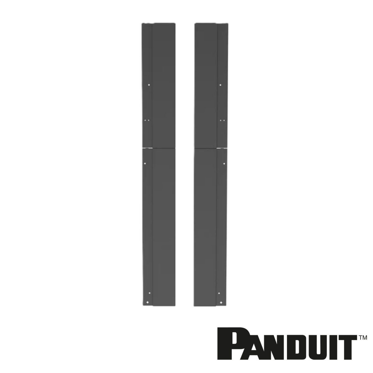 PANDUIT PatchRunner™ 2 Vertical Cable Manager Single-Sided End Panel ...