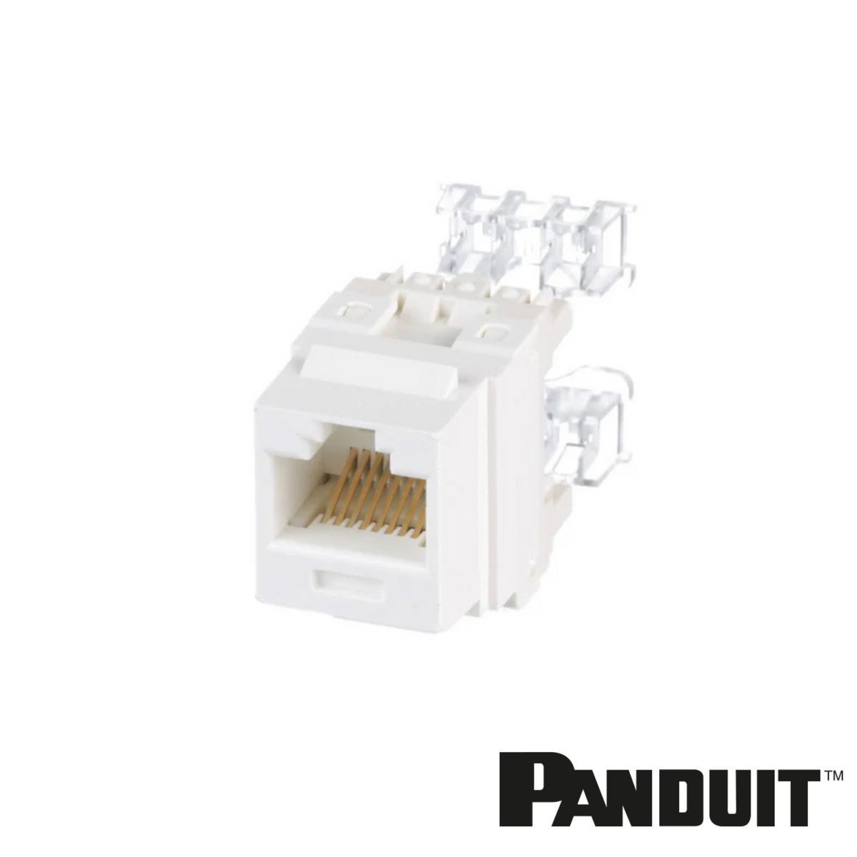 PANDUIT NetKey Cat6 Keystone Punchdown Jack Module — Networks Centre